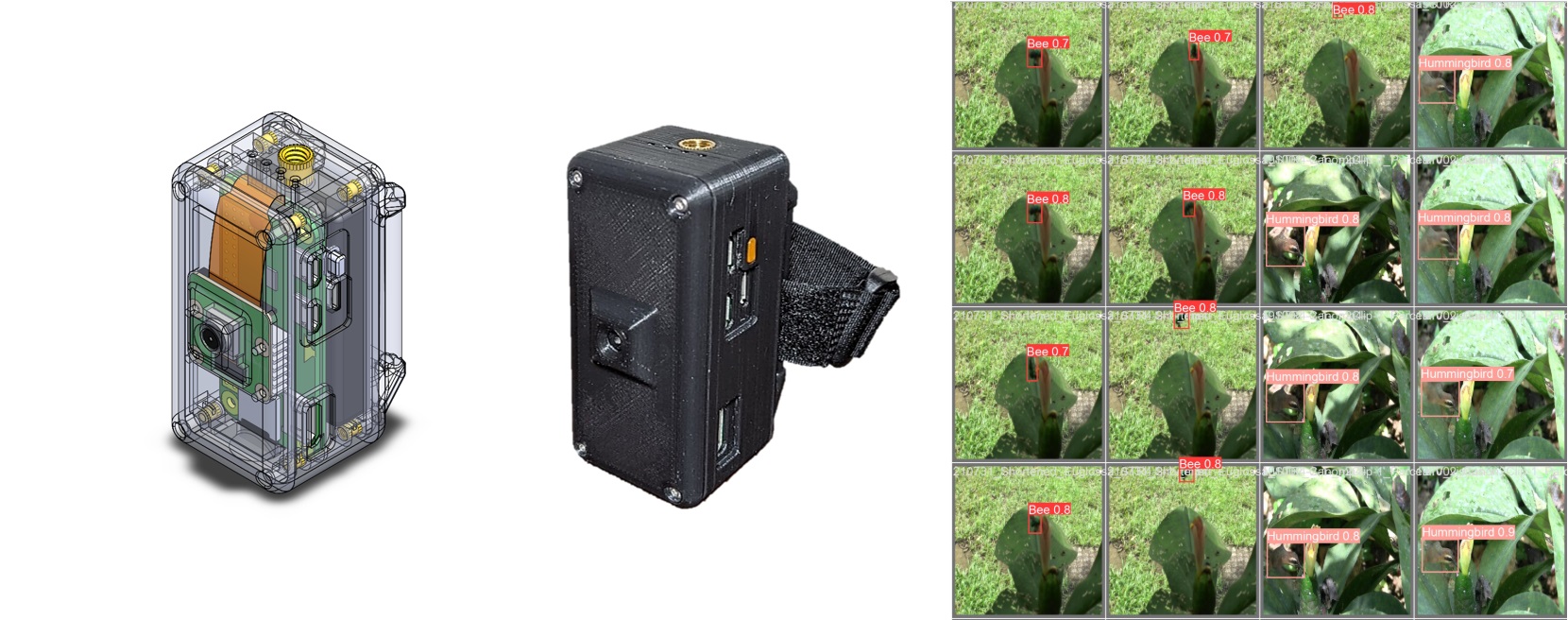 WildBerryEye | UCSC OSPO